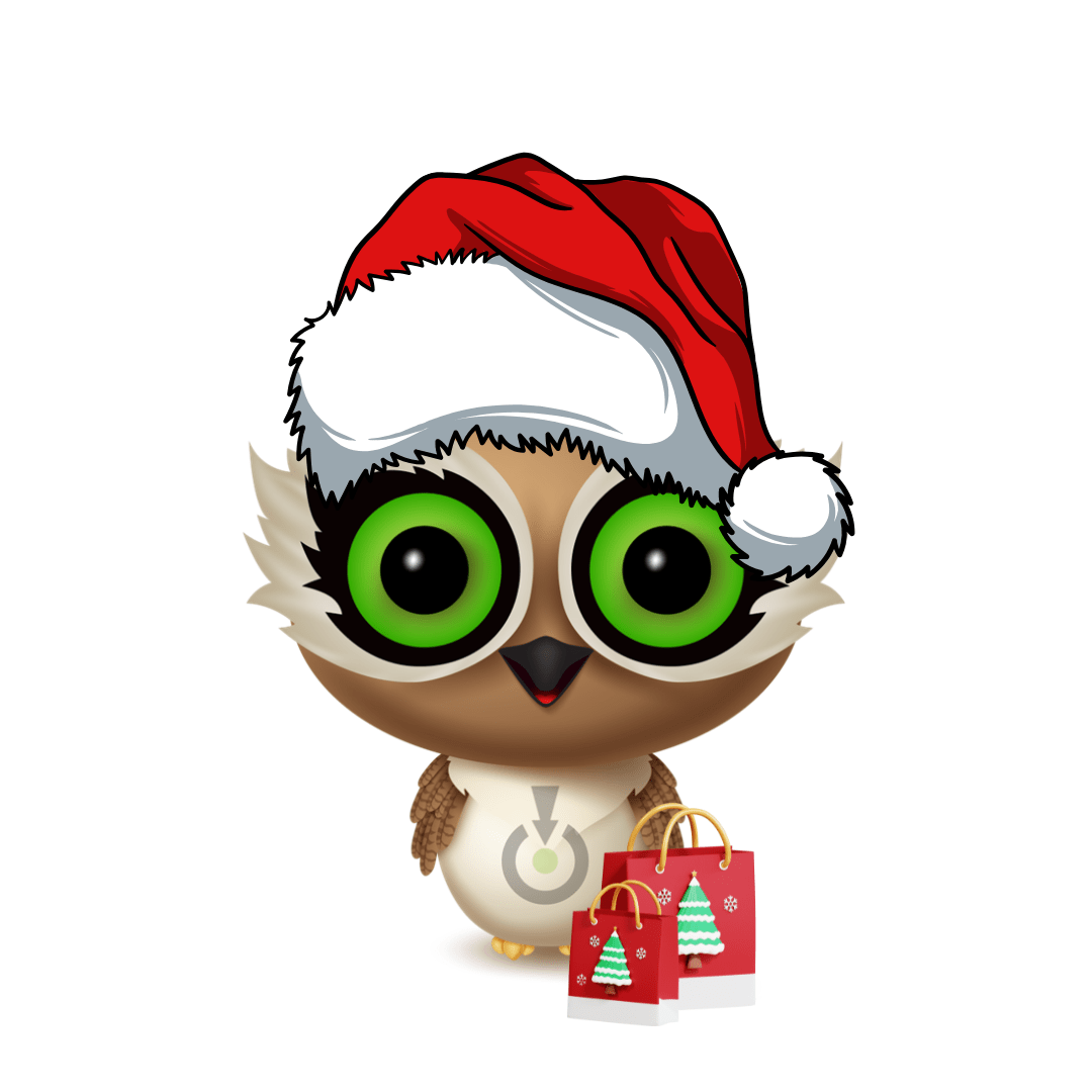 Decoding Holiday Consumer Behavior - Mindspot Research